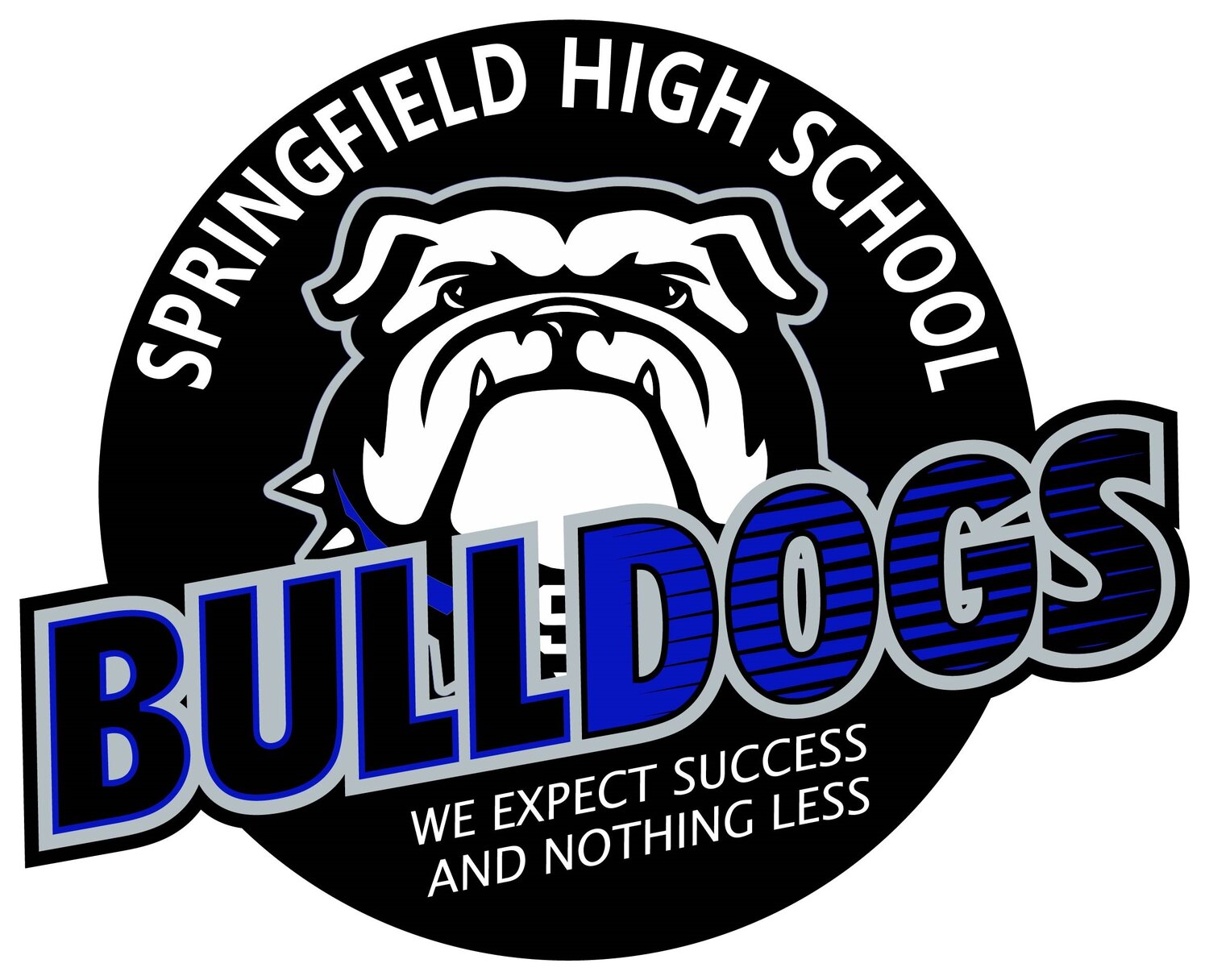 BASKETBALL | Springfield headed to the quarterfinals after victory over ...